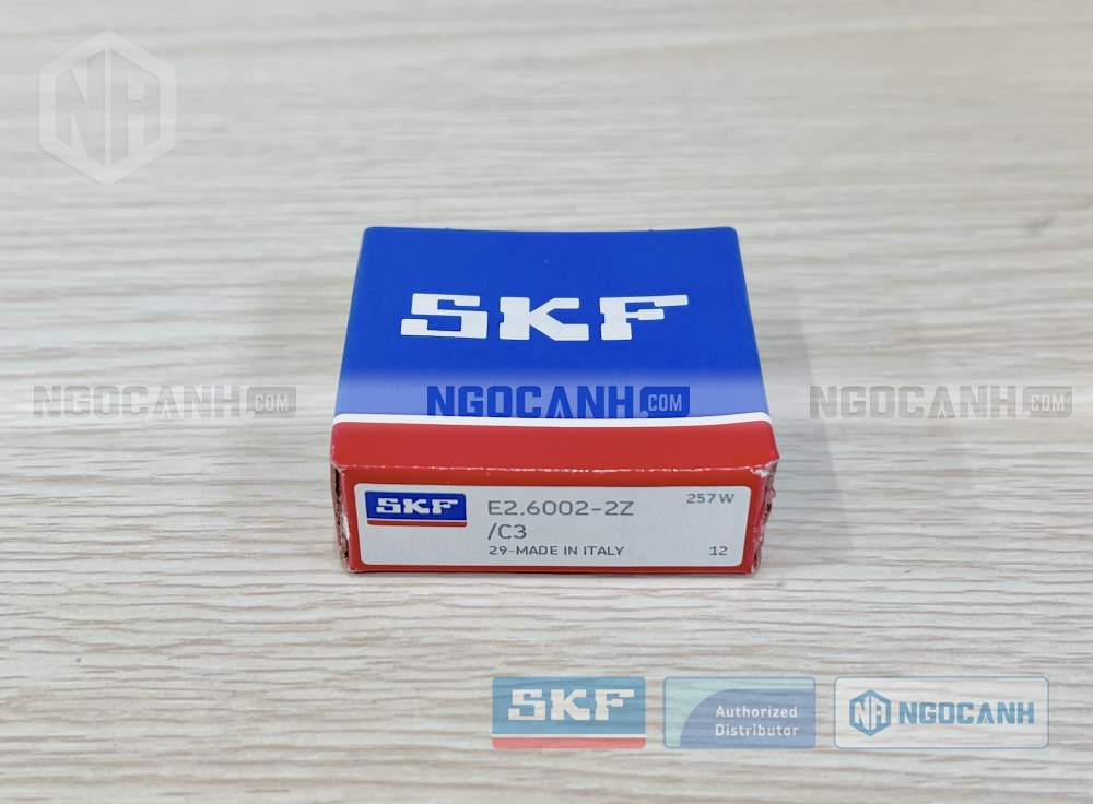 Vòng bi SKF E2.6002-2Z/C3 - Đại lý ủy quyền vòng bi SKF chính hãng