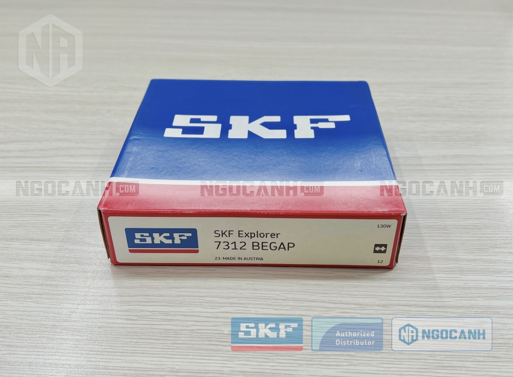 7315 Begap Skf