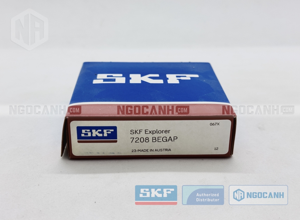 7315 Begap Skf